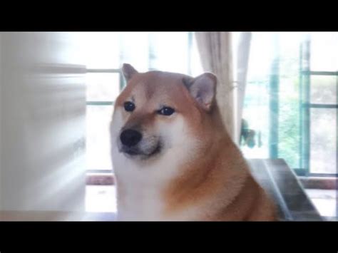 Goodbye Cheems YouTube