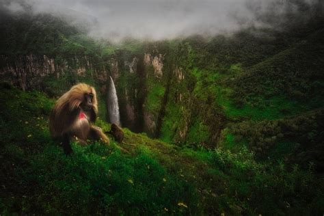 Fotos Impresionantes Ganadores De Los Premios Internacionales De