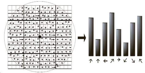 histogram of gradient direction download scientific diagram