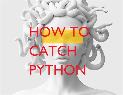 python what is it pass by value or pass by reference it is pass by assignment medium
