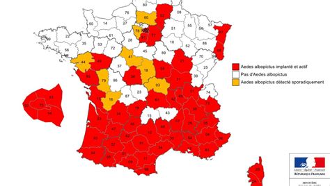 Le moustique tigre est il le grand gagnant de lété 2019
