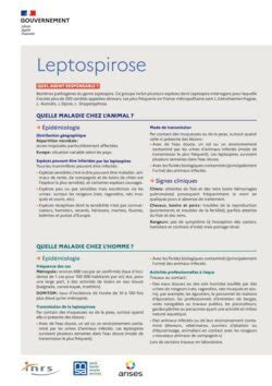 MSA Santé Sécurité en Agriculture Fiches Zoonoses Leptospirose