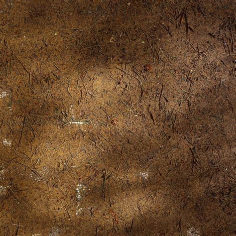 High Resolution Seamless Forest Floor PBR Texture