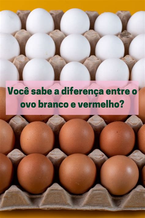 Diferença dos ovos Ovo Valor nutricional do ovo Ovo de galinha