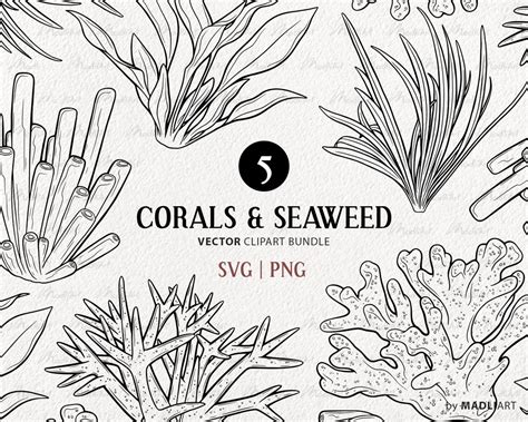 Coral Seaweed SVG Clipart Bundle Coral Reef Vector Line Art Coral