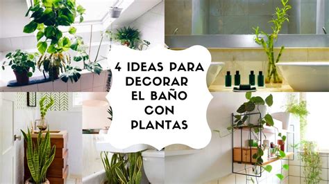 Details 100 Cuidados De Planta Huele De Noche Abzlocal Mx