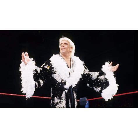 狂乱の貴公子 リックフレアー Tシャツ The Nature Boy RIC FLAIR Nature Boy 77 Tシャツ