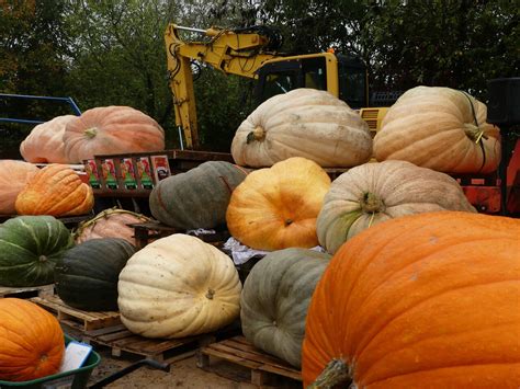 Vendée le Potager extraordinaire se met aux couleurs d Halloween du