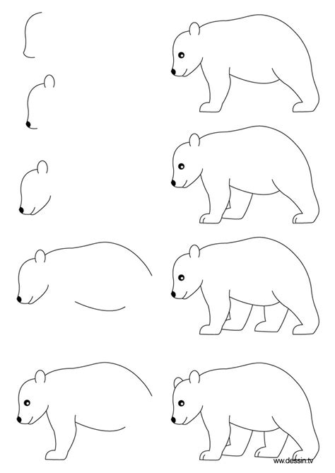 Dibujos de Osos Fáciles a lápiz Paso a Paso