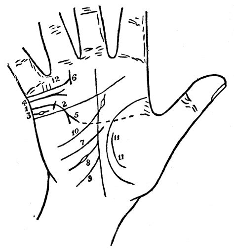Palmistry Marriage Lines Female
