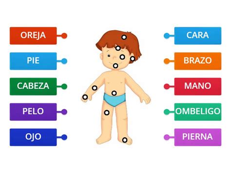 PARTI DEL CORPO IN SPAGNOLO Labelled Diagram