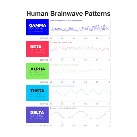 Ondas Cerebrais Theta Delta Alpha Beta Brain Waves