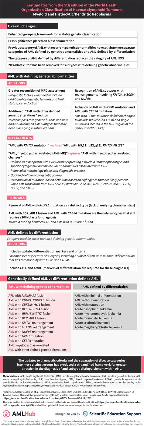 Key Updates To The Classification Of Aml In The Th Who Classification