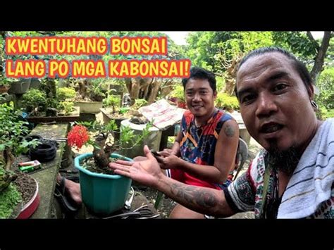 RICHARD S BONSAI GARDEN U P DILIMAN BONSAI SOCIETY YouTube