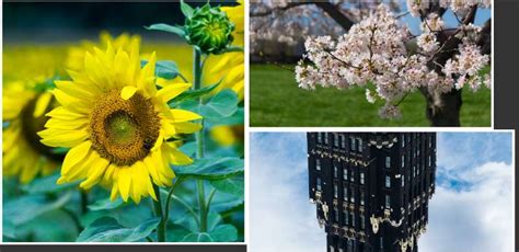 39 Creative CSS Masonry Layouts