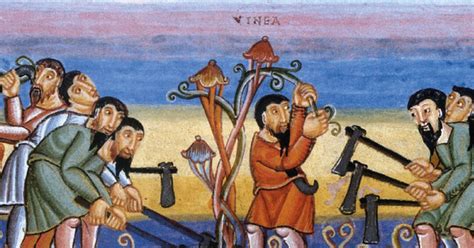 XXVII Domenica Del Tempo Ordinario Domenica 8 Ottobre 2023 Vangelo