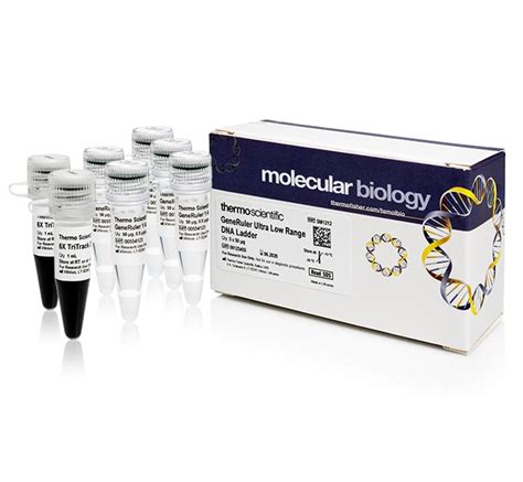 Thermo Scientific GeneRuler Ultra Low Range DNA Ladder 10 To 300 Bp 0