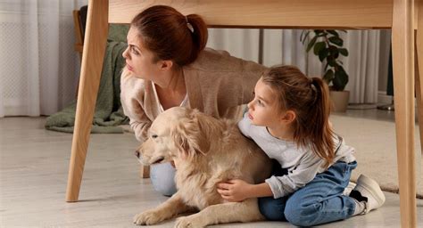 Consejos Para Cuidar A Tu Mascota En Caso De Un Temblor