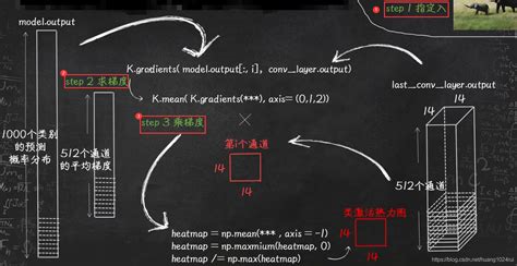 《python深度学习》第五章 6（可视化类激活图）读书笔记 activation map csdn博客