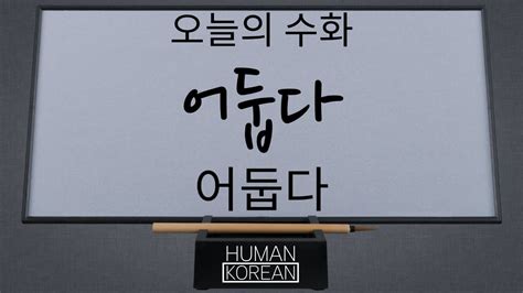 오늘의 수화 어둡다 To be dark YouTube