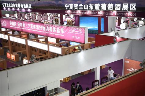 Int L Wine Culture Tourism Expo Kicks Off In China S Ningxia People