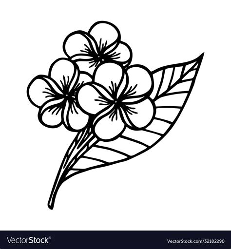 Plumeria Clip Art Black And White