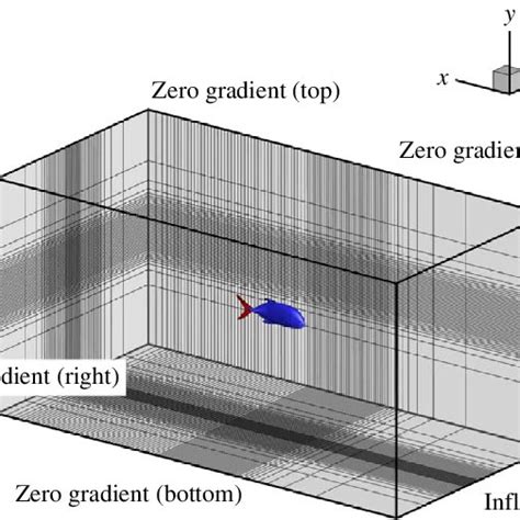 Colour Online Schematic Of The Computational Mesh And Boundary