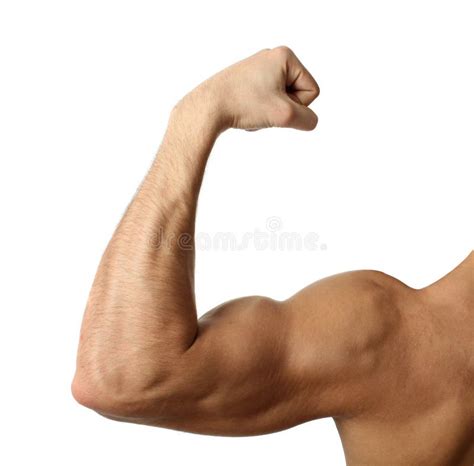 El Doblar Flaco Del Brazo Foto De Archivo Imagen De Aislado 17366676