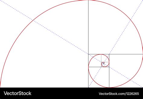 fibonacci golden ratio royalty free vector image