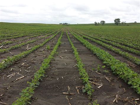 What Does Crop Rotation Replenishment Of Soil Storables