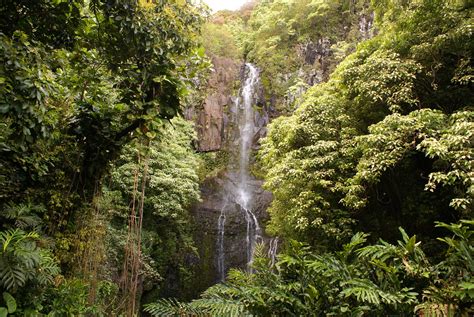 Maui Waterfall This Was A Pretty Waterfall In Maui That M Flickr