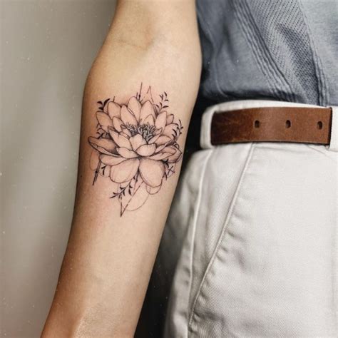 Phoenix And Lotus Flower Meaning Best Flower Site