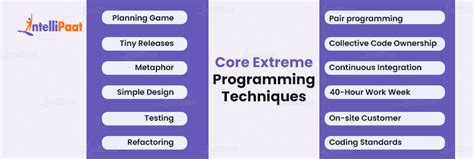 what is extreme programming xp values principles and practices laptrinhx
