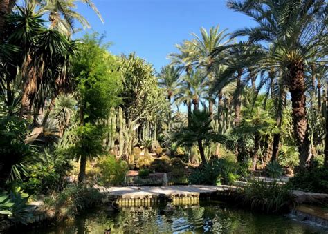 El Huerto del Cura Un Lugar de ensueño en Elche España