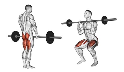 Ficha De Treino De Pernas E Glúteos LIBRAIN