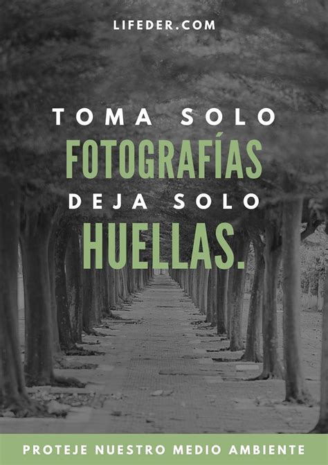 100 Frases Para Cuidar El Medio Ambiente Y La Naturaleza Cortas