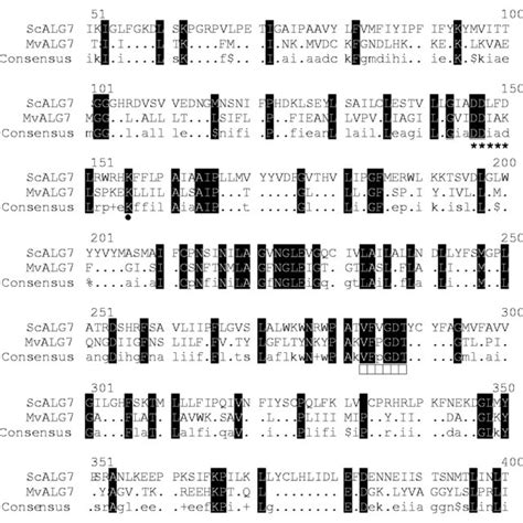 multiple sequence alignment with hierarchical clustering 7 of s download scientific diagram