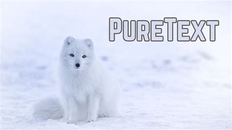 PureText Paste Unformatted Text From Your Clipboard