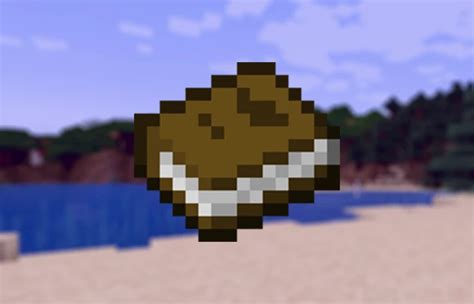 Minecraft Kitap Yapımı Rehberi Kitaba Nasıl Yazı Yazılır