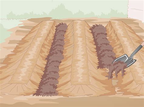 Cómo preparar la tierra para un huerto 15 Pasos