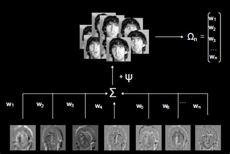 [explanation] face recognition using eigenfaces lipman s artificial intelligence directory