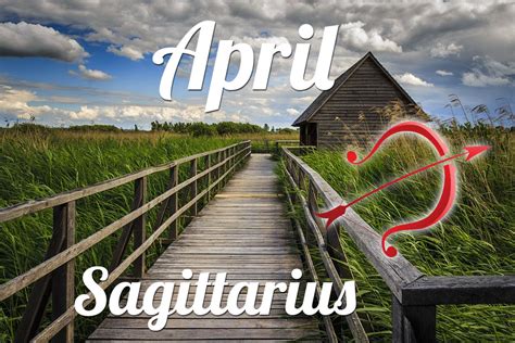 Horoscope Sagittarius 2023 Tarot Monthly Horoscope