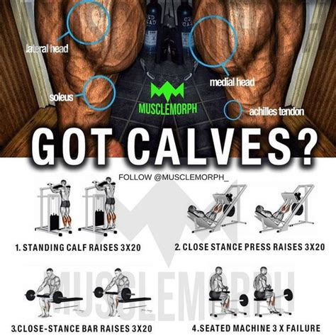 2 397 Likes 15 Comments MuscleMorph Musclemorph On Instagram