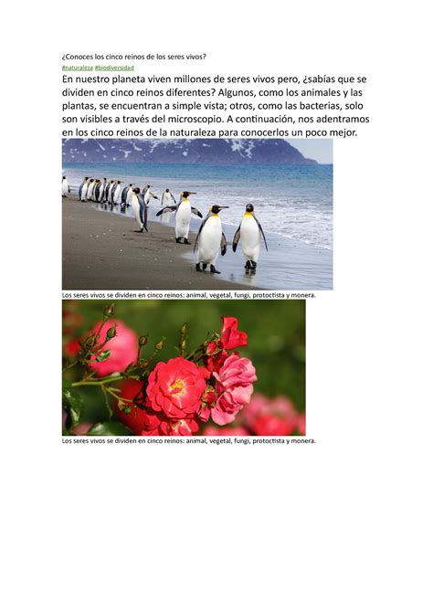 Conoces Los Cinco Reinos De Los Seres Vivos Conoces Los Cinco Reinos