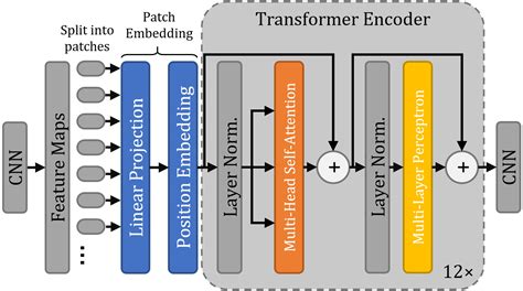 D Vision Transformer Pytorch D