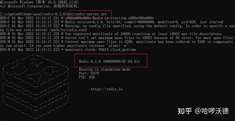 redis6 2 5 0版本windows下载安装教程（win10 知乎