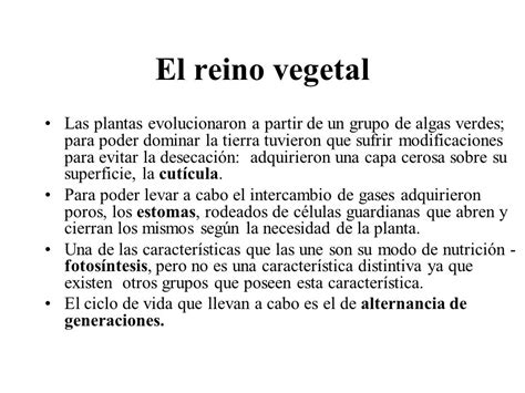Caracteristicas Del Reino Plantae Seonegativo