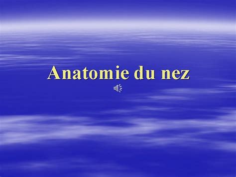 Anatomie Du Nez Anatomie Le Nez Externe La