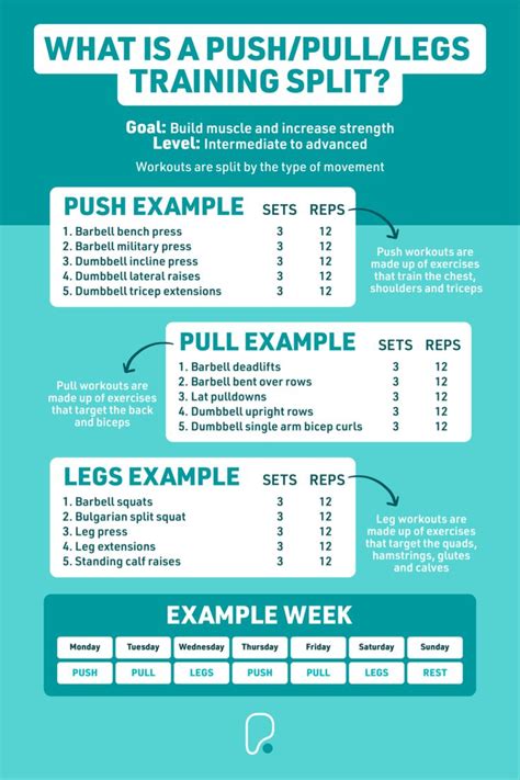 What Is A Push Pull Legs Training Split Push Pull Legs Pull Day