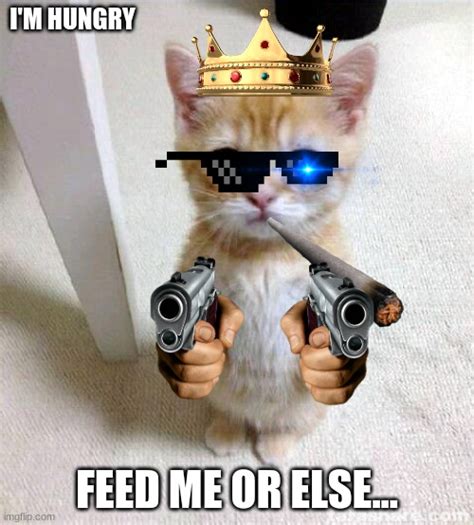Cute Cat Meme Imgflip